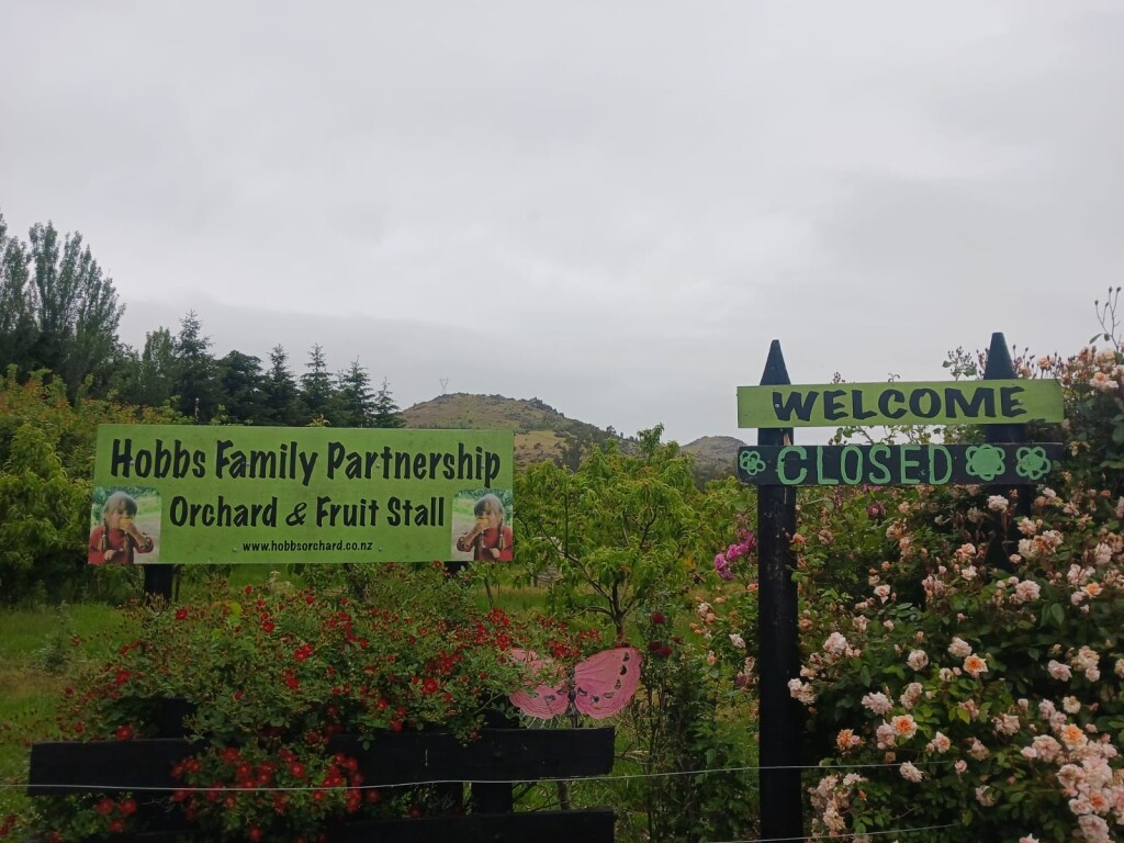 Hobbs Orchard Blog